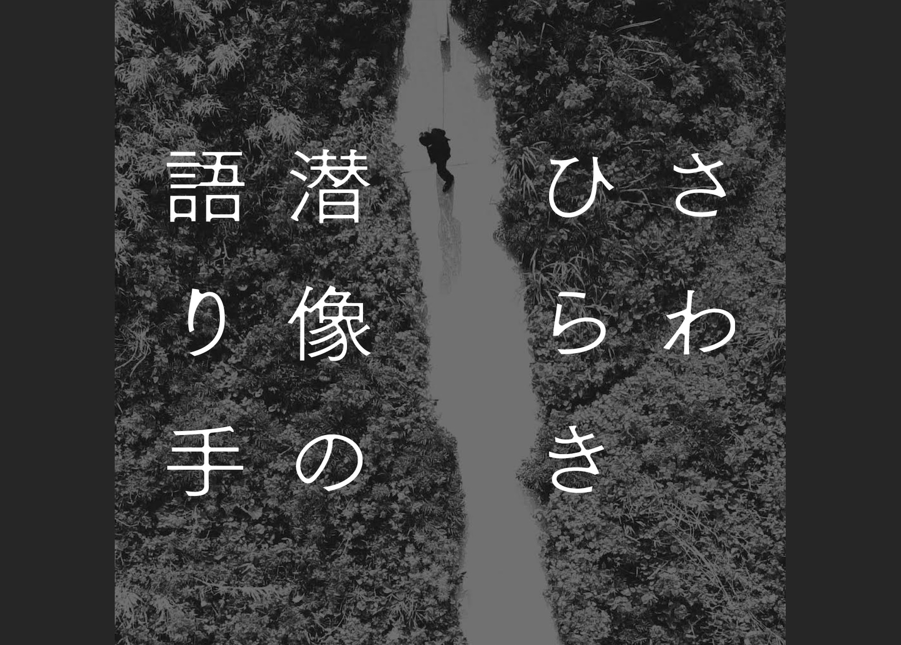 SETENV | WORKS | さわひらき 潜像の語り手