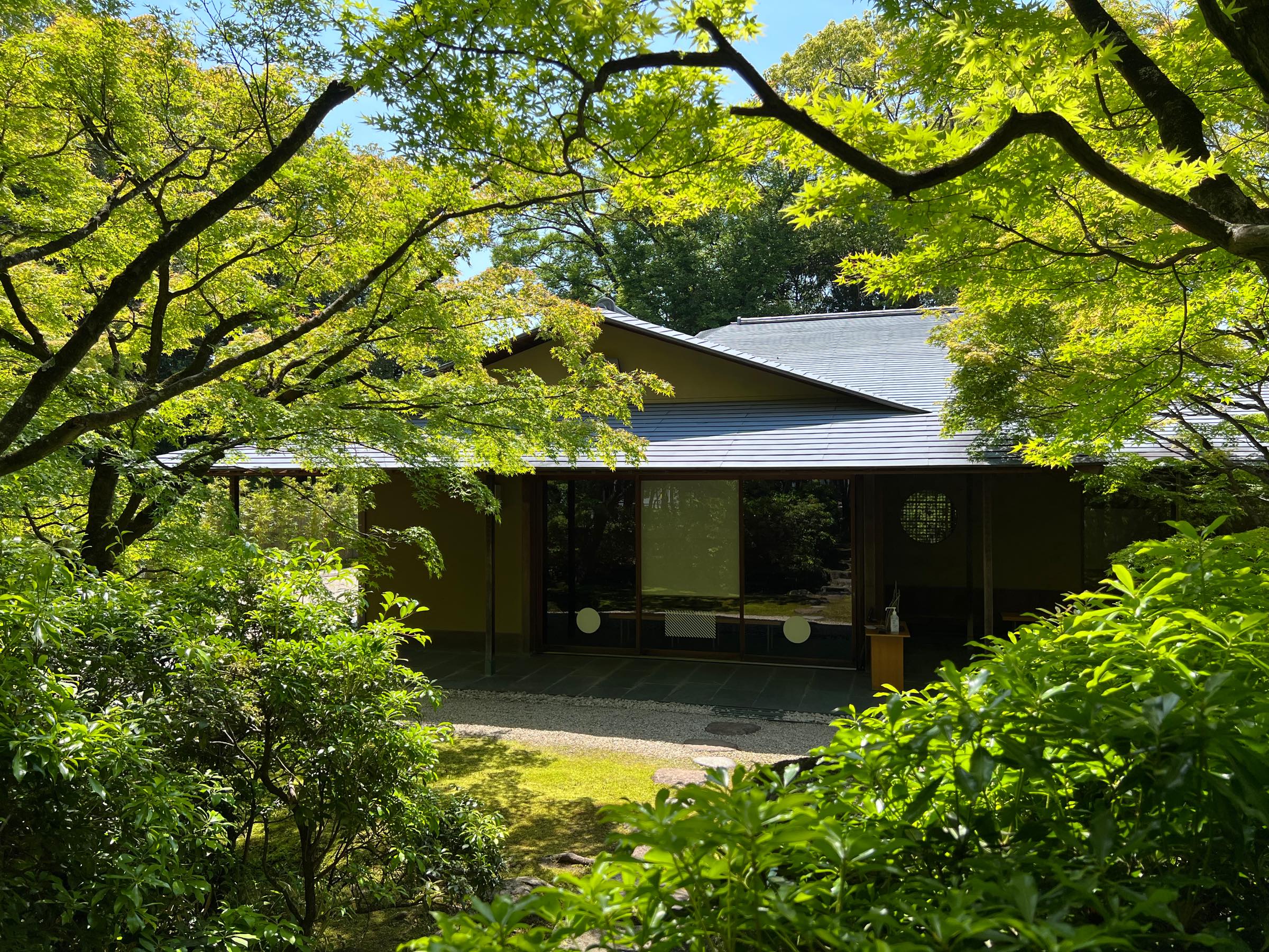 SETENV | Article | ねこのほそ道@豊田市美術館