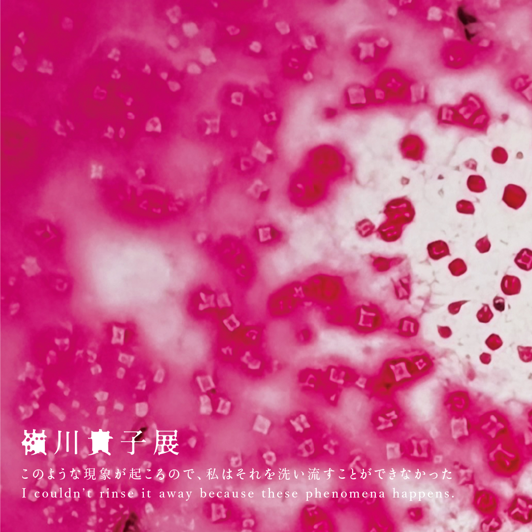 SETENV | NEWS | おすすめの展示： 嶺川貴子「このような現象が起こるので、私はそれを洗い流すことができなかった. I couldn’t rinse it away because ...